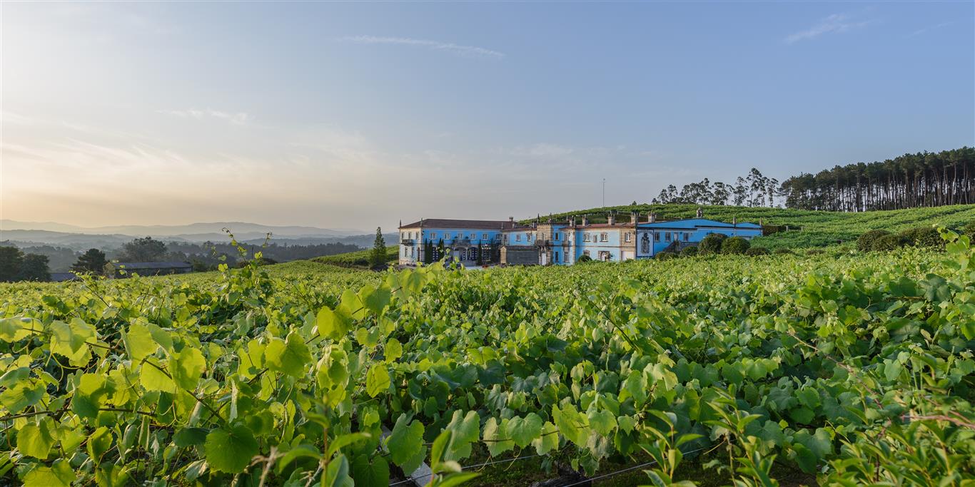 Bodegas en Galicia | Albariño.com